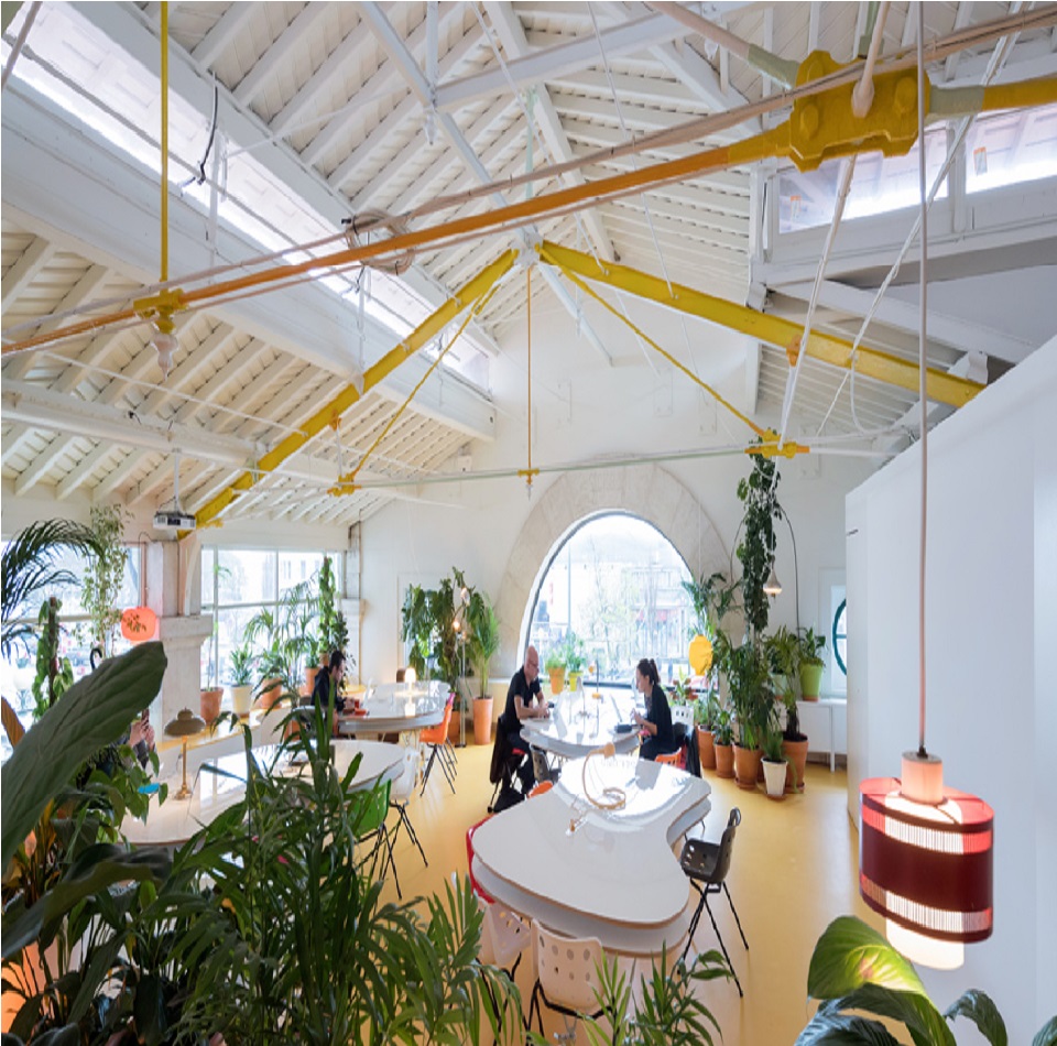 Green office - greening trend in the workplace